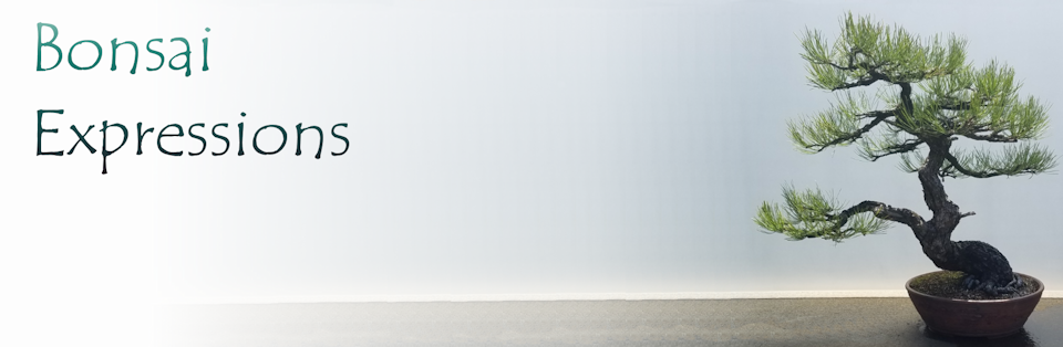 Bonsai Expressions FAQ